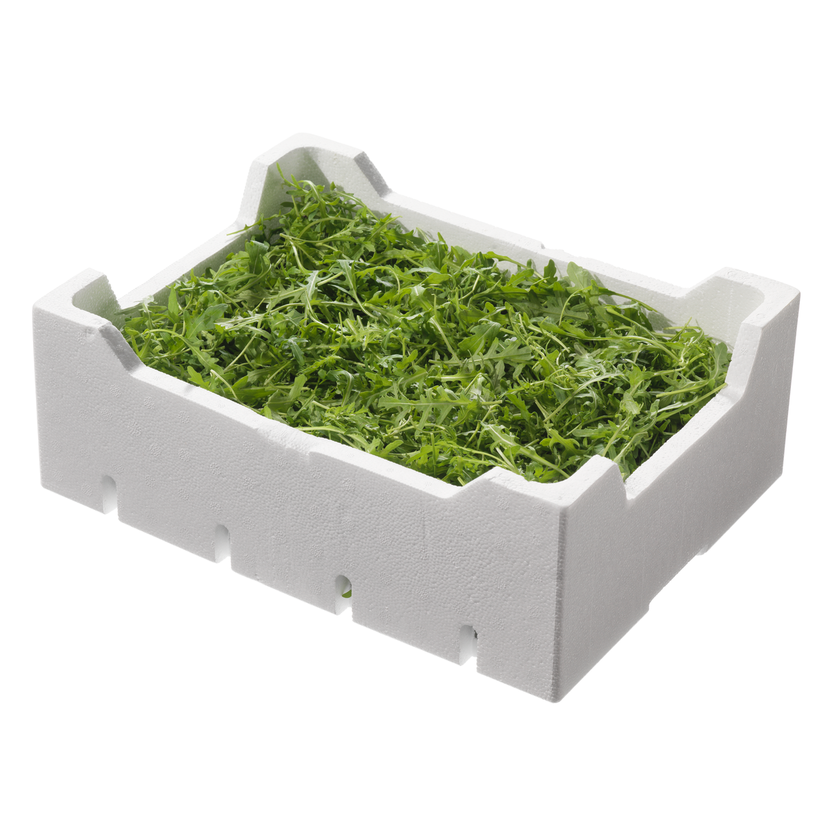 Rucola IV gamma polistirolo con coperchio - La Marostegana clone
